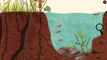 Help Your Children Learn Science and Nature with Aniscience