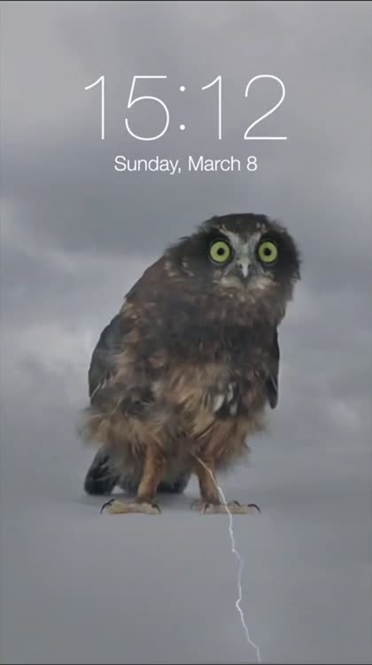 Live Wallpapers by LivePicWalls - Dynamic Animated Gif Wallpaper for ...