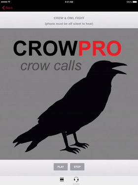 Crow Calls & Crow Sounds for Hunting Crows BLUETOOTH COMPATIBLE by ...