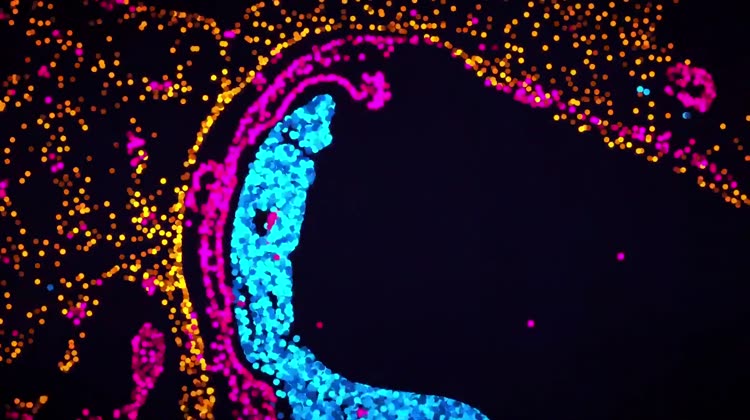 Parametric Creature: Lab by Latent Cat Inc