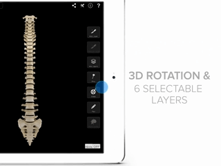 Spine Pro III by 3D4Medical from Elsevier