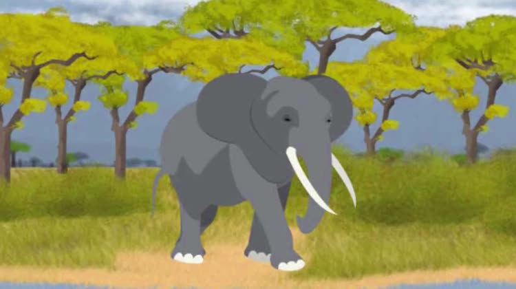 Animal World (Full Version) by Knbmedia