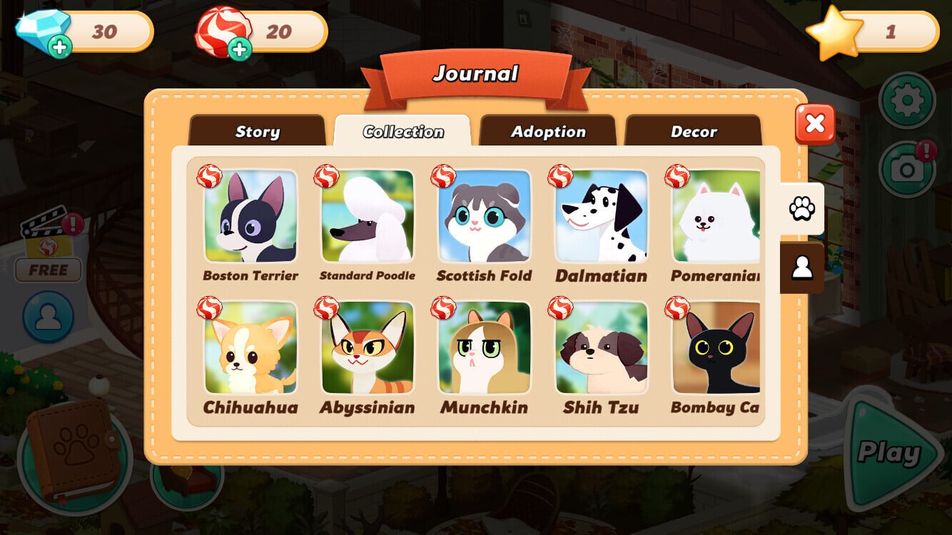 Hellopet House Beginners’ Guide
